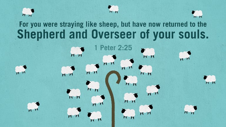 1 Peter 2:25 Devotional – Search The Bible